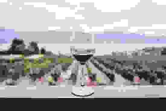 Press Release: Berry Bros. & Rudd’s New Chair Lizzy Rudd Predicts the ...