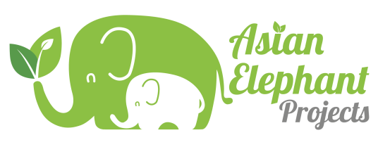 Save Elephant Foundation, in Collaboration with Asian Elephant Projects ...